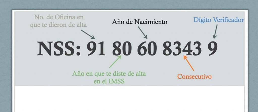 Qué significan los 11 dígitos del NSS o Número de Seguro Social o IMSS