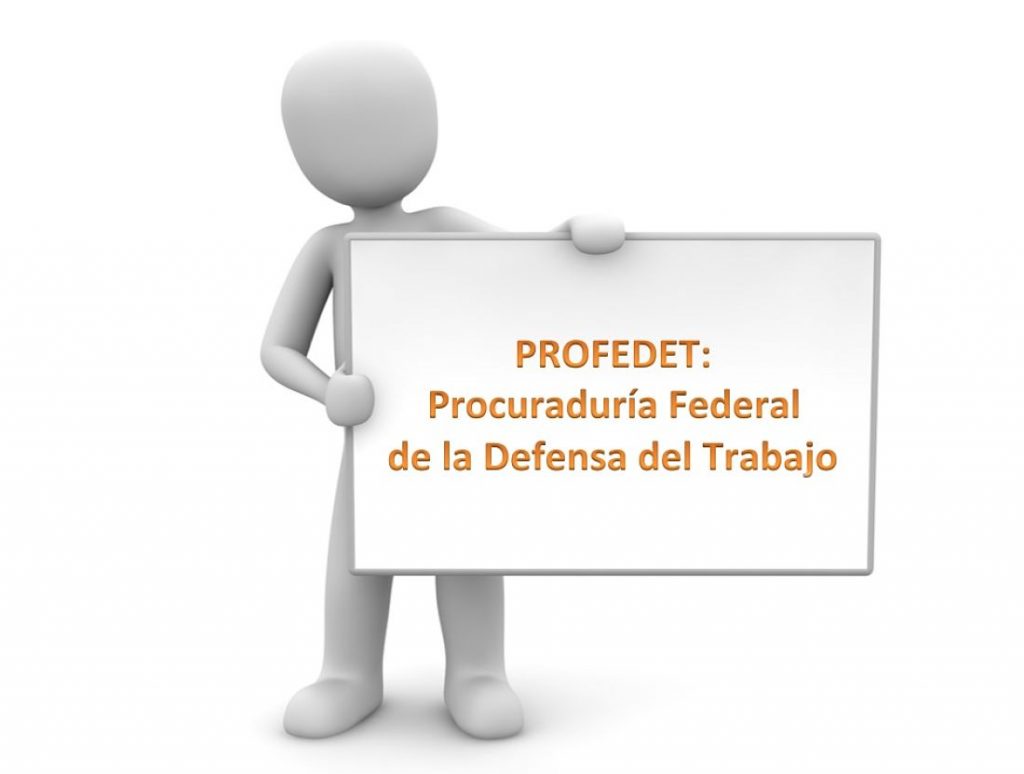 Qué es la PROFEDET, para qué sirve y cómo funciona